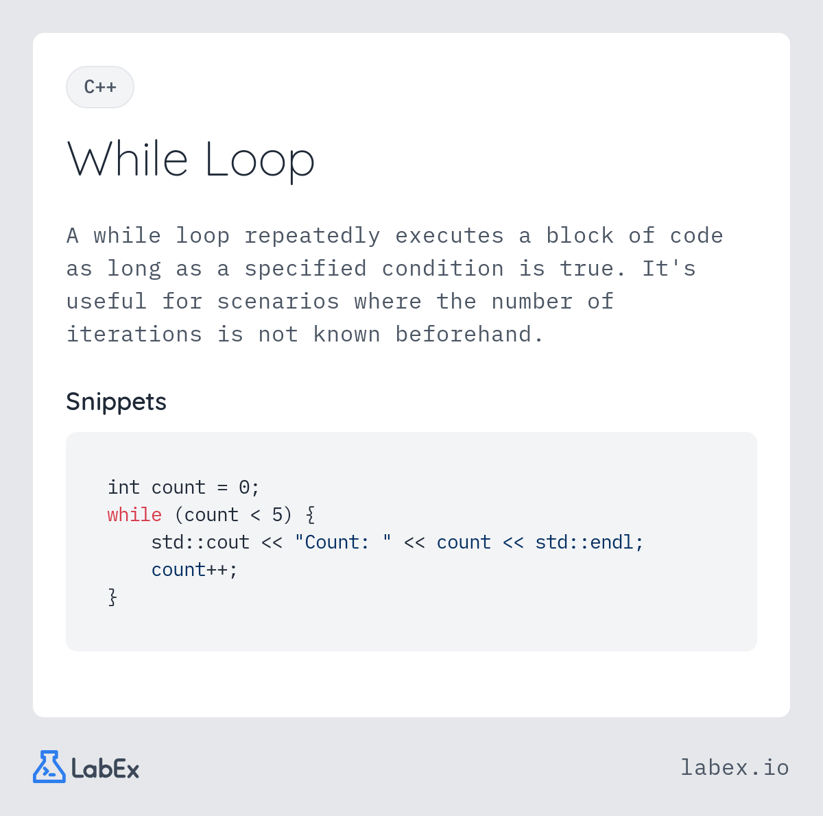 While Loop