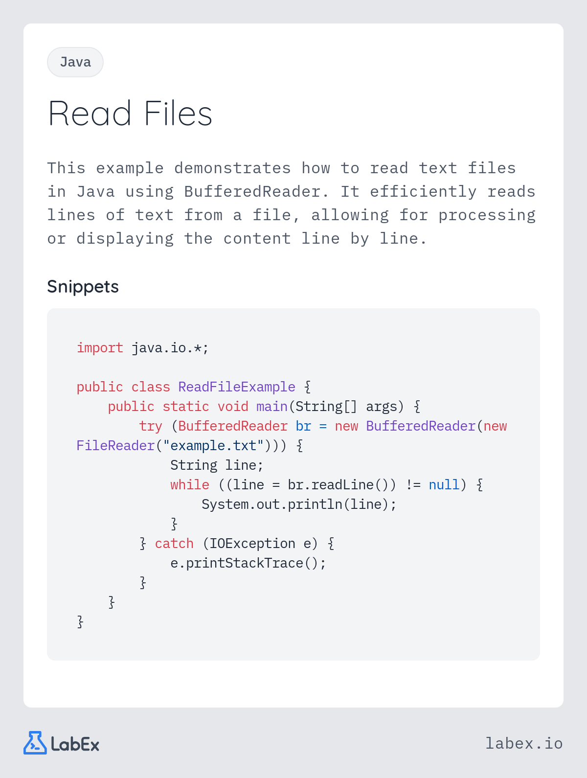 Programming FlashCards Learn Coding Concepts LabEx