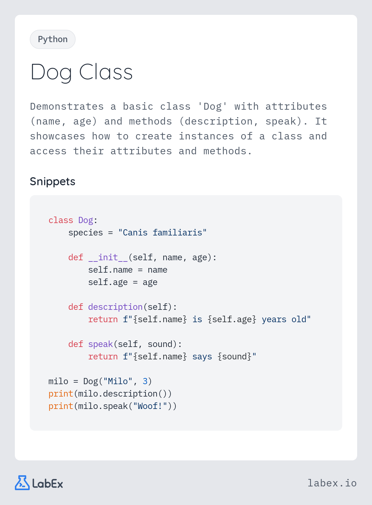 Dog Class